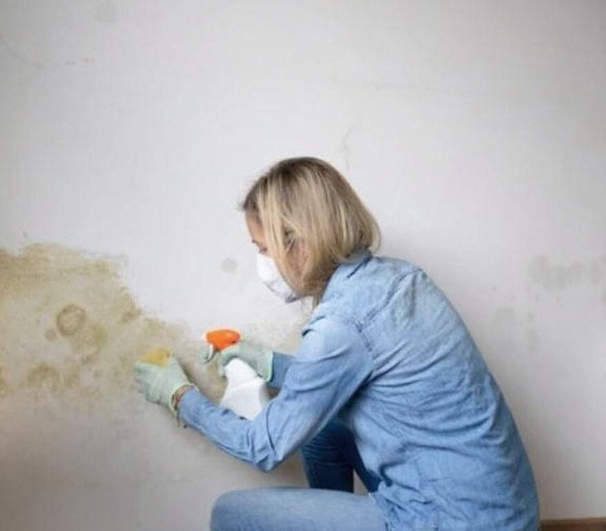 Water Intrusion: Signs, Causes, and How to Detect It - MESTEK